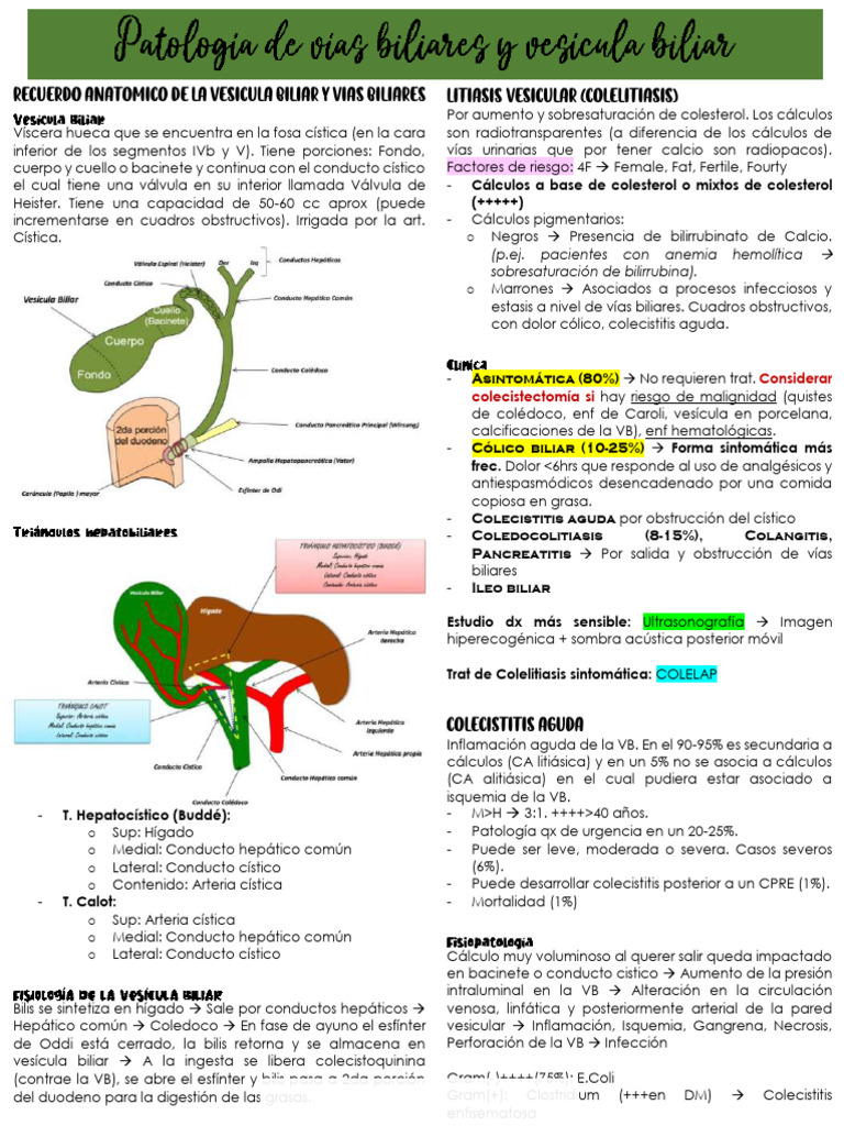 Anatomía y patologías de la vesícula biliar | PDF | Bilis | Vesícula biliar