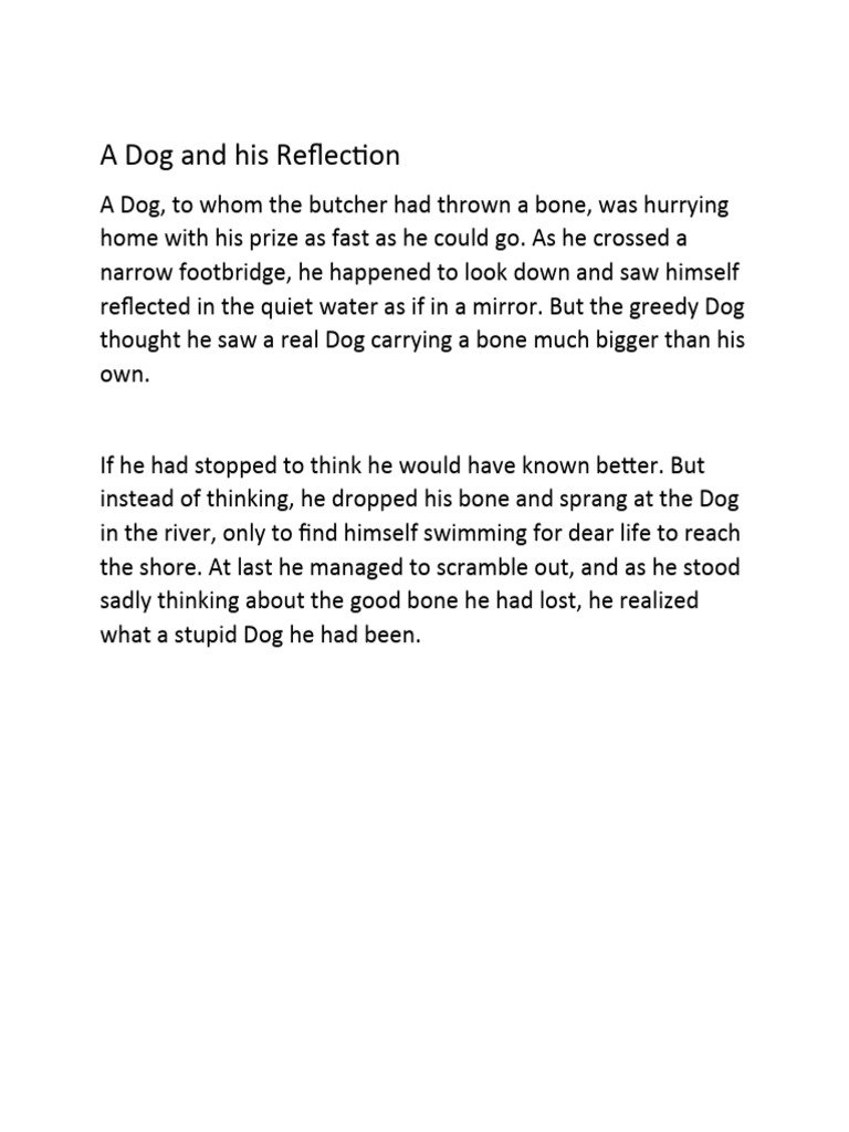 A Dog and His Reflection | PDF