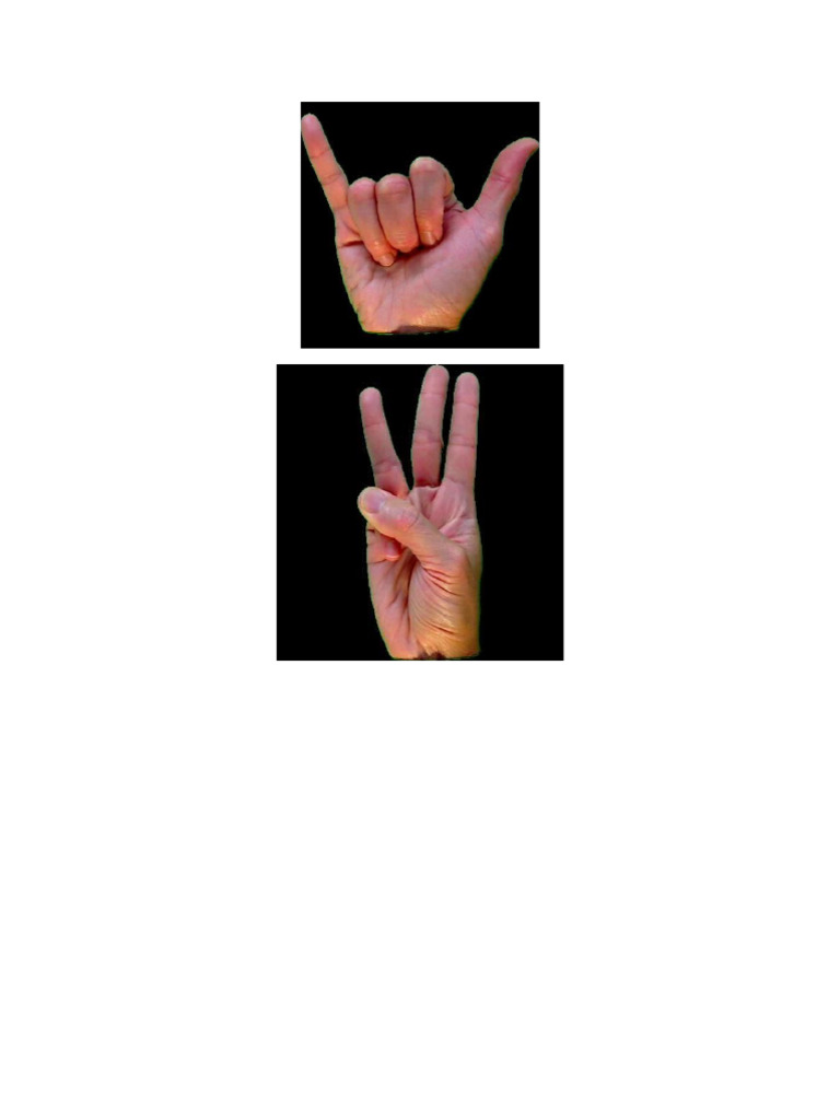 Sign Robo Sign | PDF