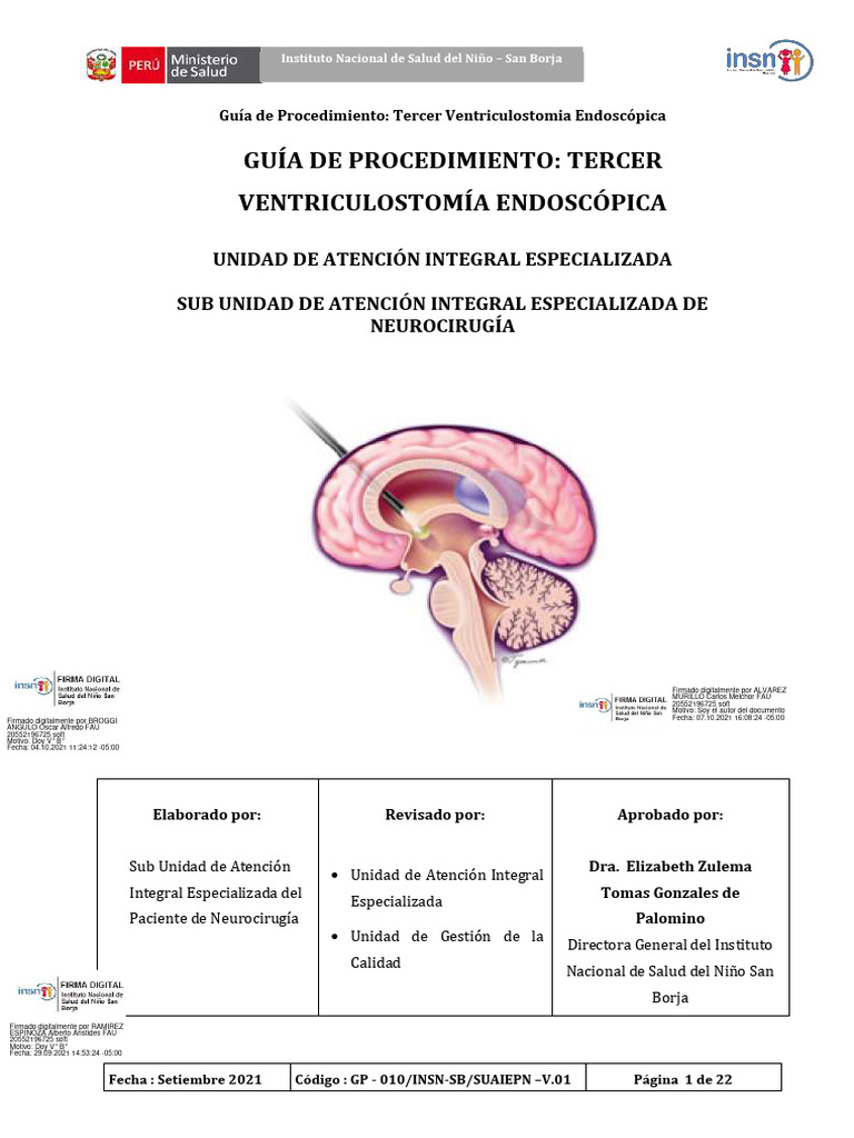 Guía de Tercer Ventriculostomía Endoscópica | PDF | Especialidades ...