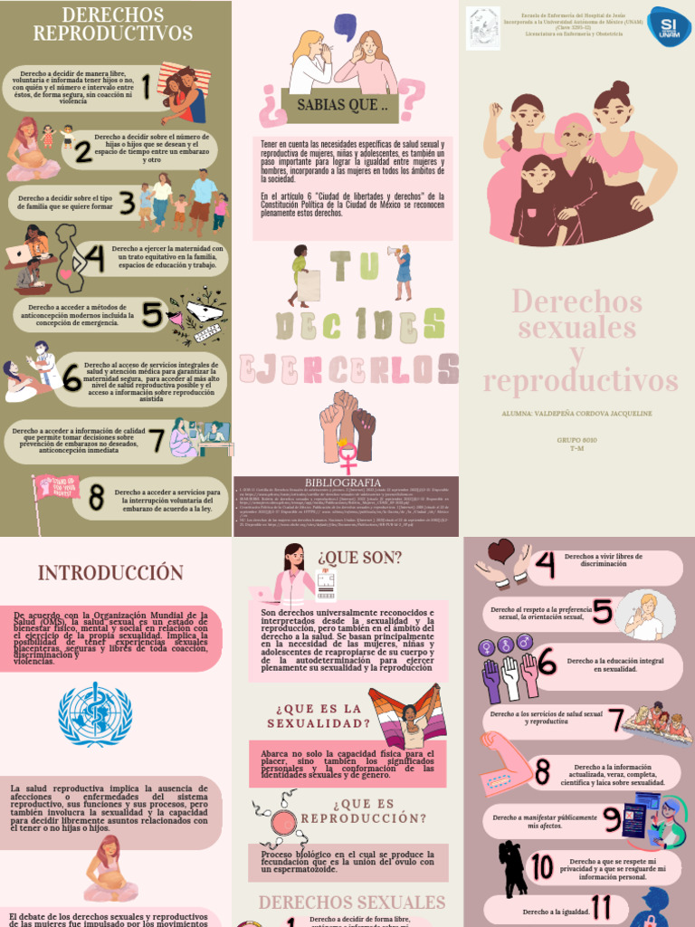 Triptico Derechos Sexuales Y Reproductivos Pdf Derechos