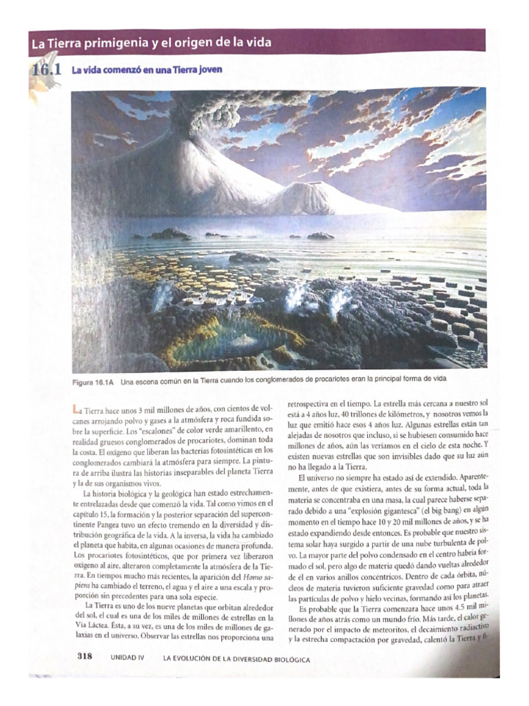 La Tierra Primigenia Y El Origen de La Vida - 10 | PDF