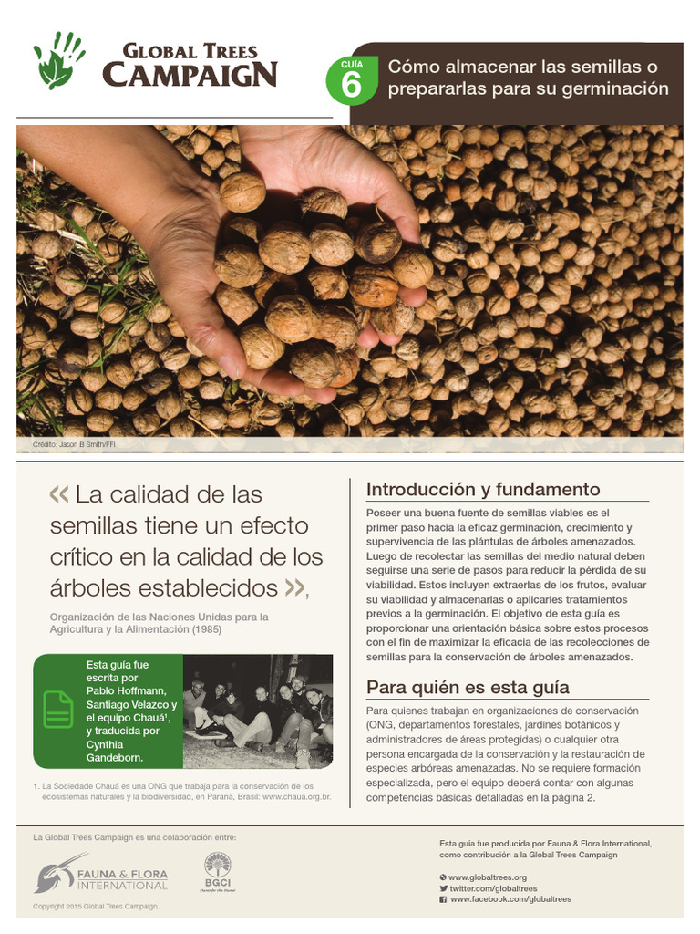 Brief 6 Spanish | PDF | Semilla | Germinación