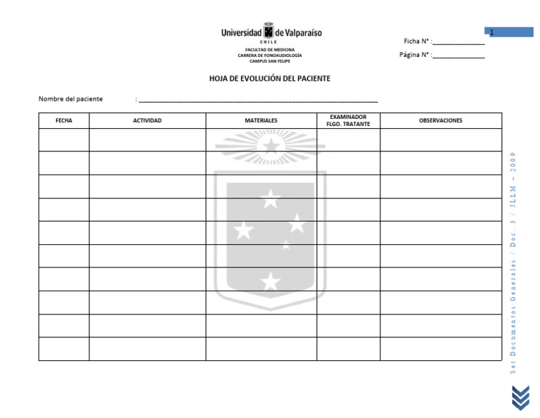 HOJA EVOLUCION DEL PACIENTE | PDF