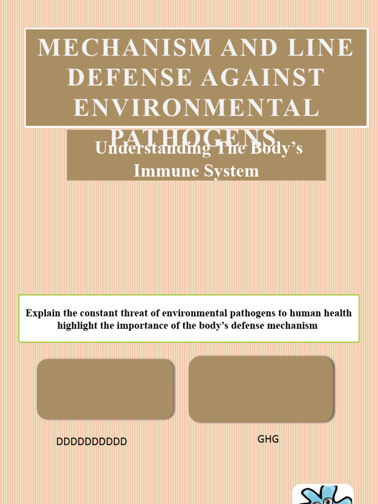 Immune System Basics for Beginners | PDF | Immune System | Adaptive ...