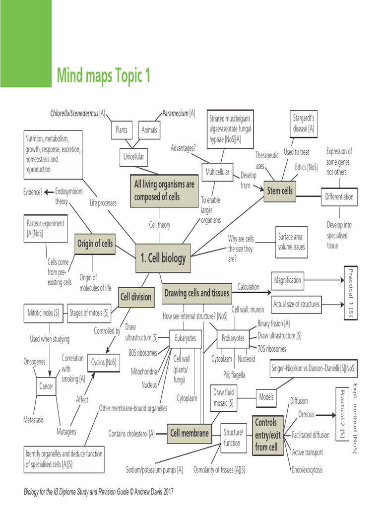 IB Biology Study Guide: Key Concepts | PDF | Cell (Biology) | Genetics