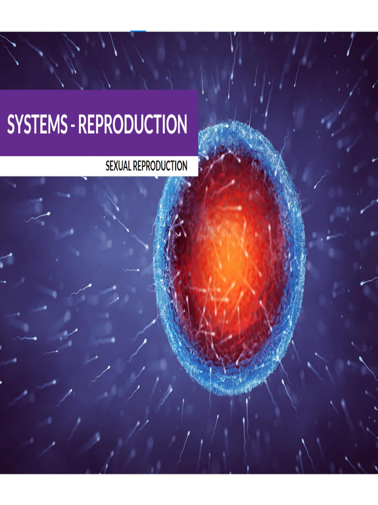 Sexual Reproduction | PDF
