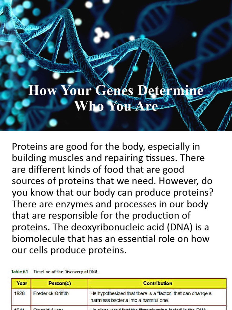 How Your Genes Determine Who You Are | PDF | Dna | Dna Replication