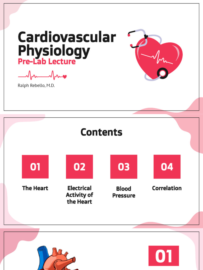 Cardiovascular Physiology Pre-Lab Lecture | Download Free PDF | Heart ...