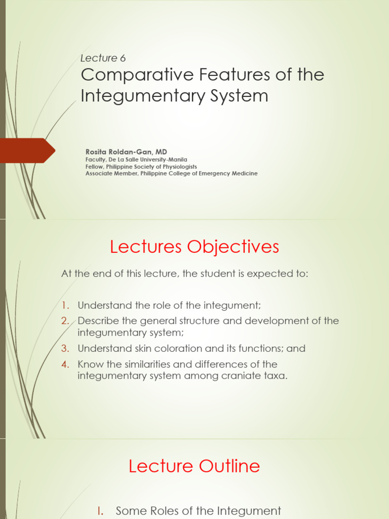 05 Integumentary System Part 1 | Download Free PDF | Skin | Epithelium