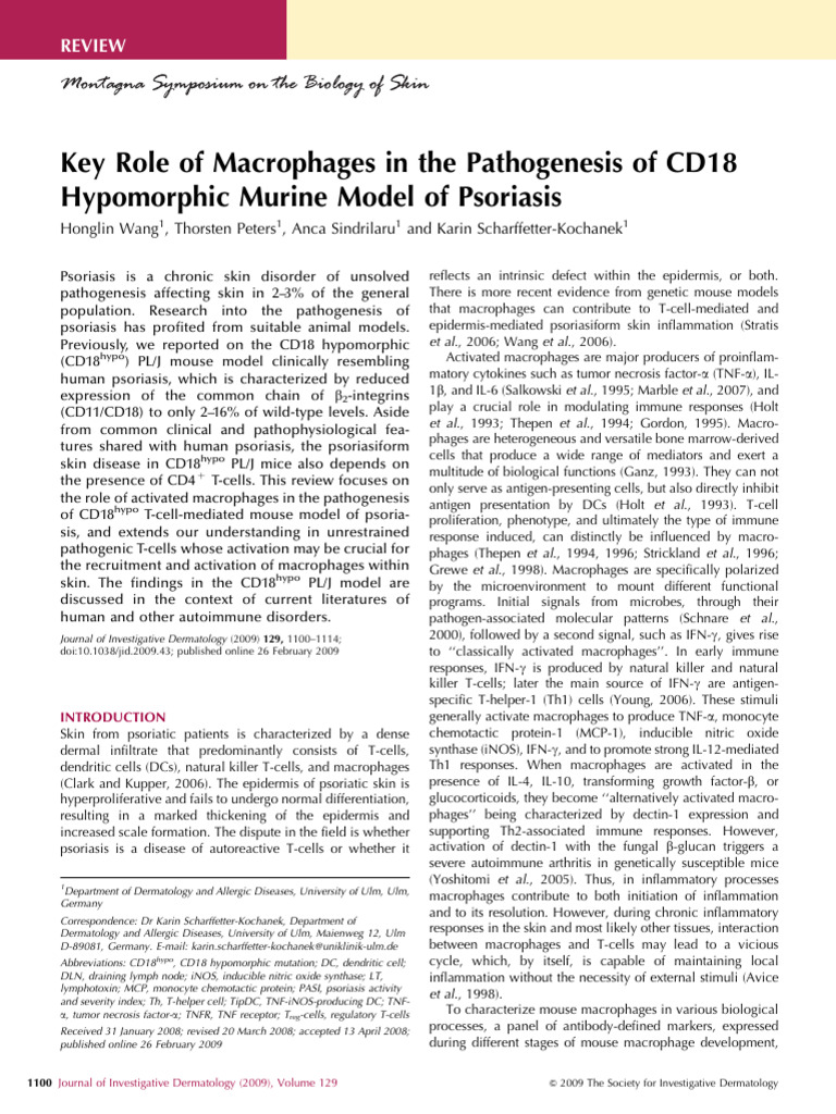 Key Role of Macrophages in The Pathogenesis of CD1 | Download Free PDF | Macrophage | Psoriasis