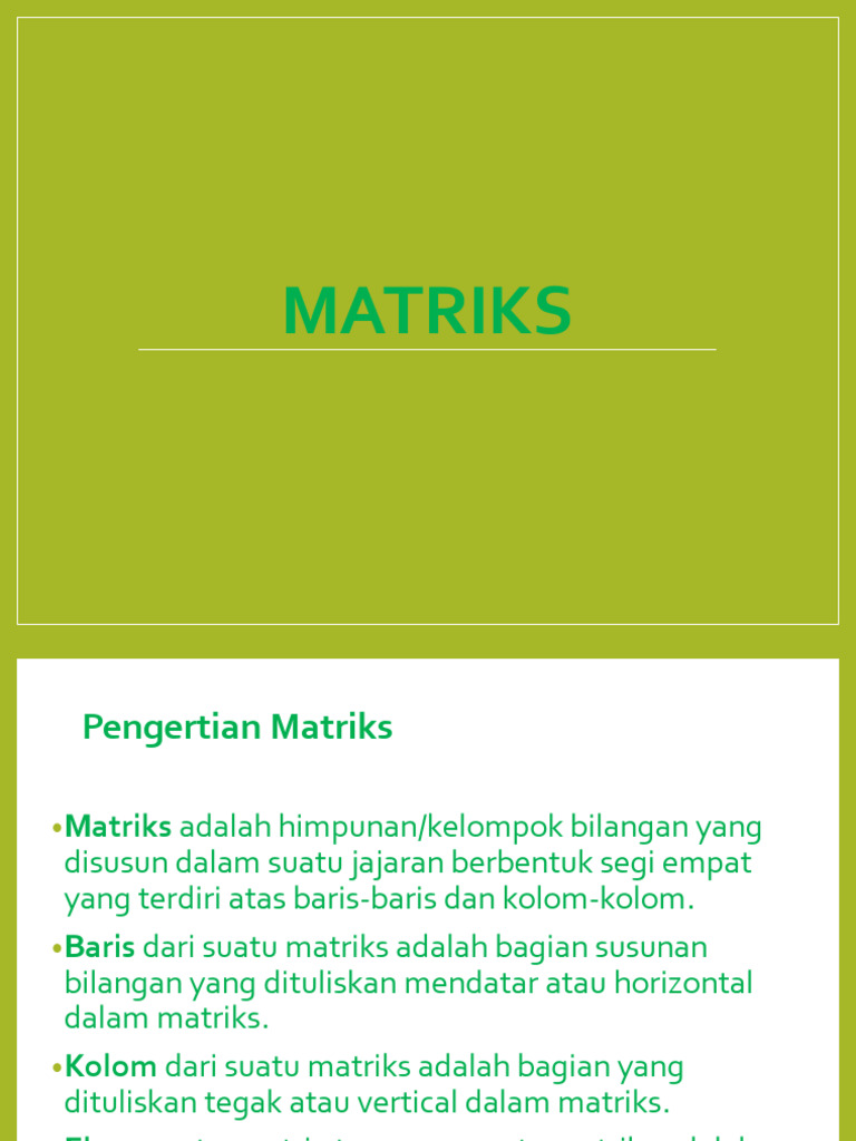 Kuliah Matriks 1 2024 N | PDF