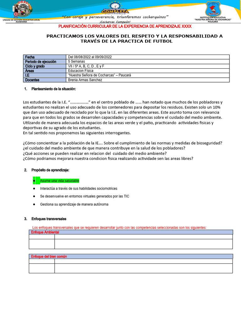 5° EDA V - EF - Acobamba | PDF | Aprendizaje | Evaluación