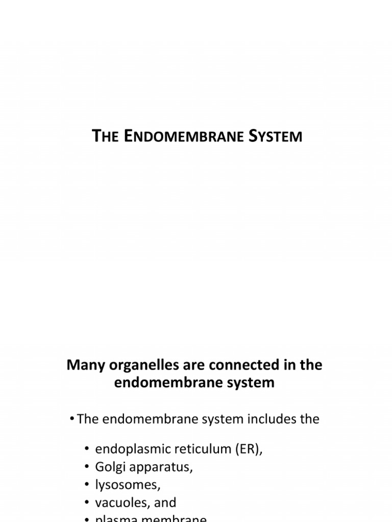 3b. Cell Structure II | PDF