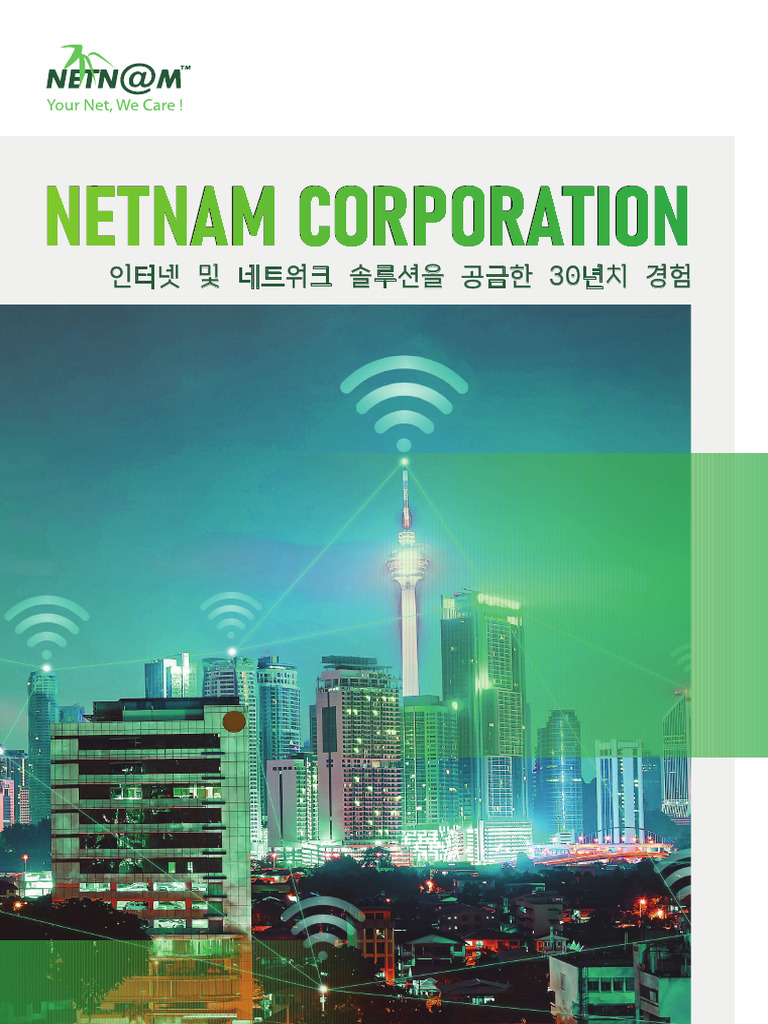 Profile NetNam 2024 KOR | PDF