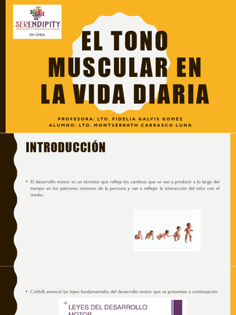 El Tono Muscular en La Vida Diaria | PDF | Músculo | Aprendizaje