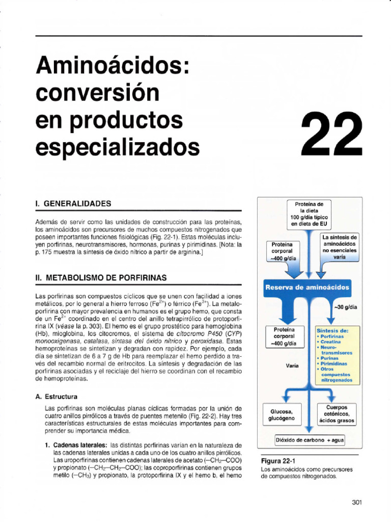 Este Si Bio | PDF | Porfirina | Biomoléculas
