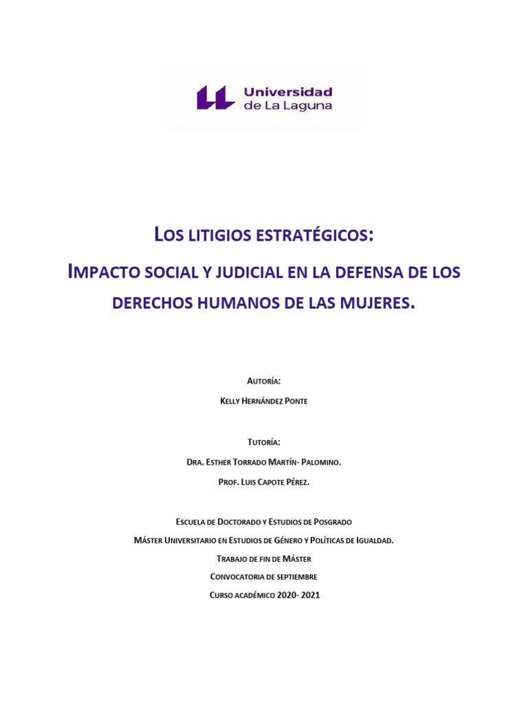 Los Litigios Estrategicos Impacto Social y Judicial en La Defensa de Los Derechos Humanos de Las ...