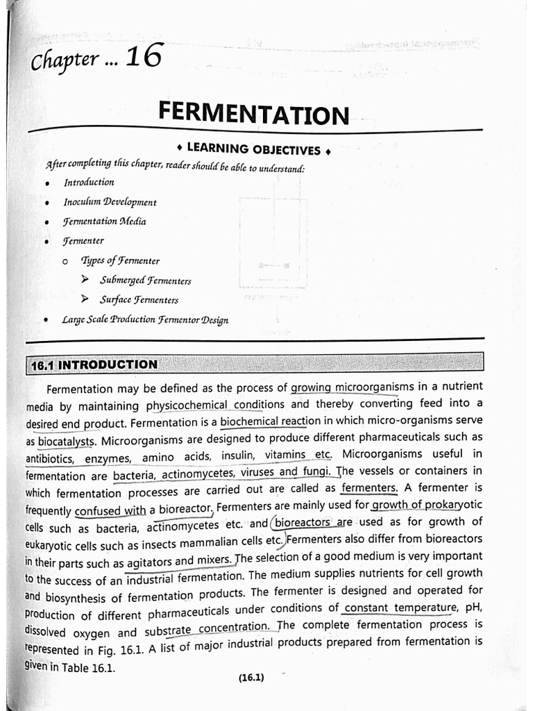 Fermentation | PDF