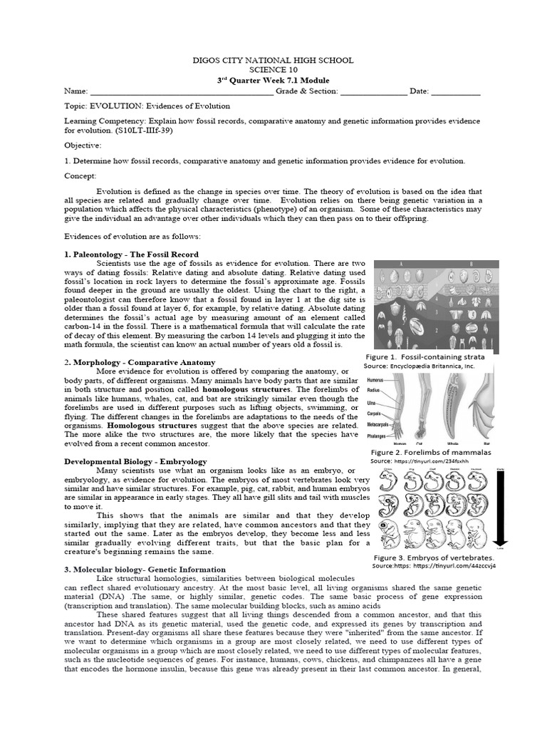 Evolution Evidence: Fossils & Anatomy | PDF | Homology (Biology) | Gene