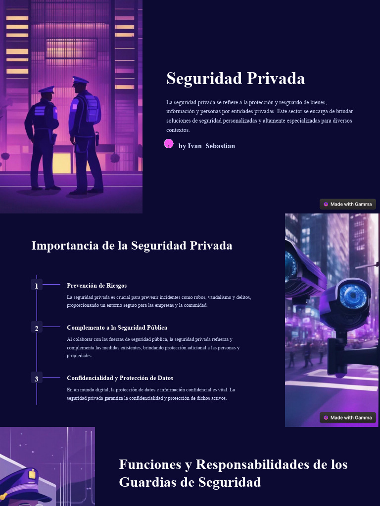 Seguridad Privada | PDF | La seguridad informática | Seguridad