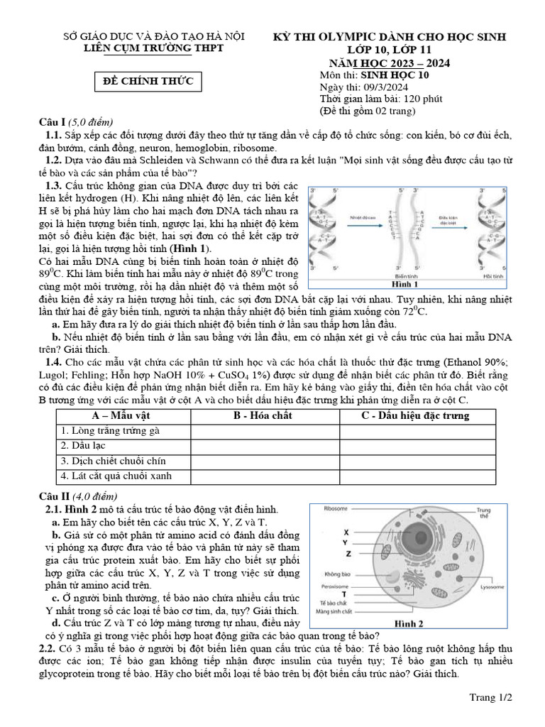 De Thi Olympic Mon Sinh Hoc Lop 10 Nam 2023 2024 Co Dap An Lien Cum Truong THPT Ha Noi 8905 | PDF