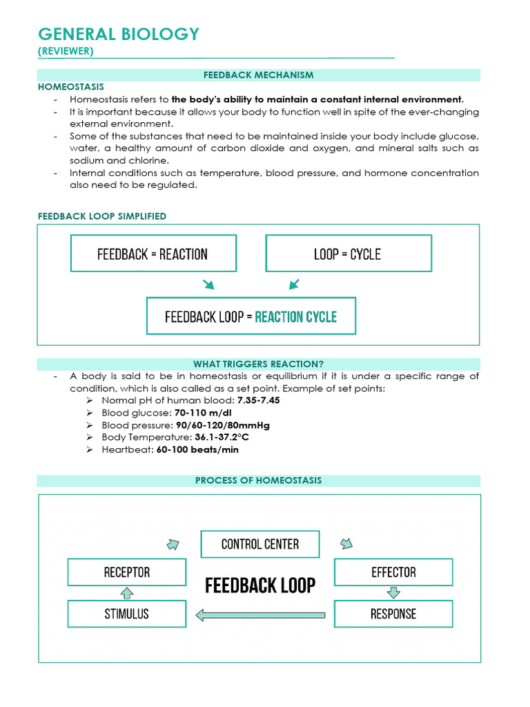 Feedback Mechanism | PDF | Homeostasis | Hormone
