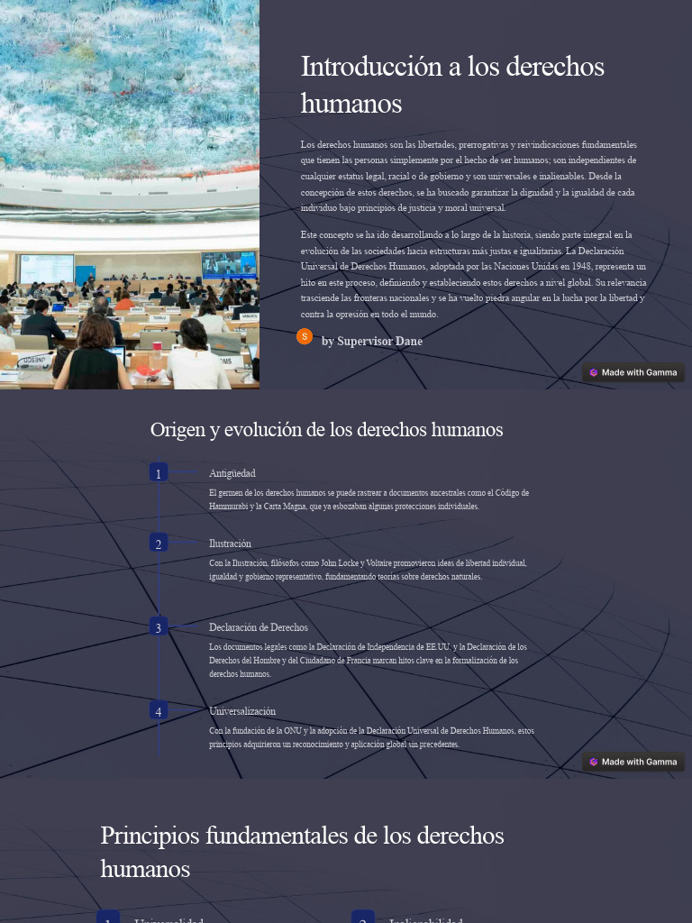 Introduccion A Los Derechos Humanos Pdf Derechos Humanos Derechos