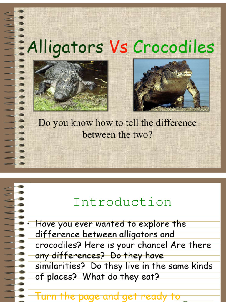 Alligator vs Crocodile: Key Differences | PDF