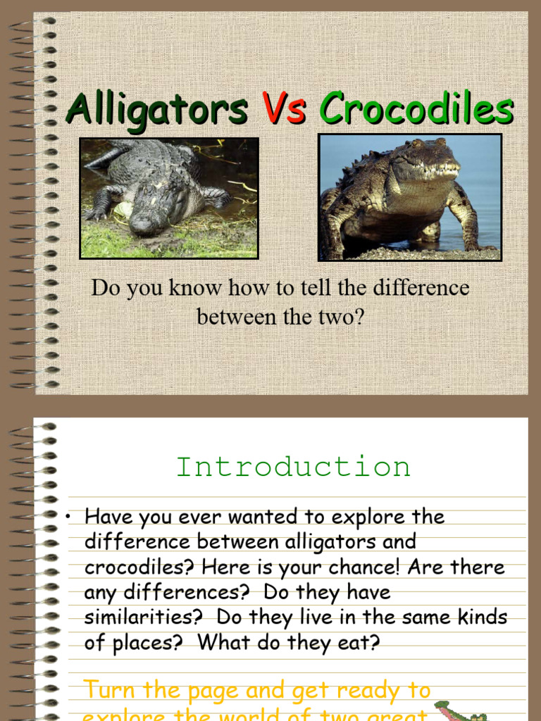 Alligator Crocodile | PDF | Home & Garden