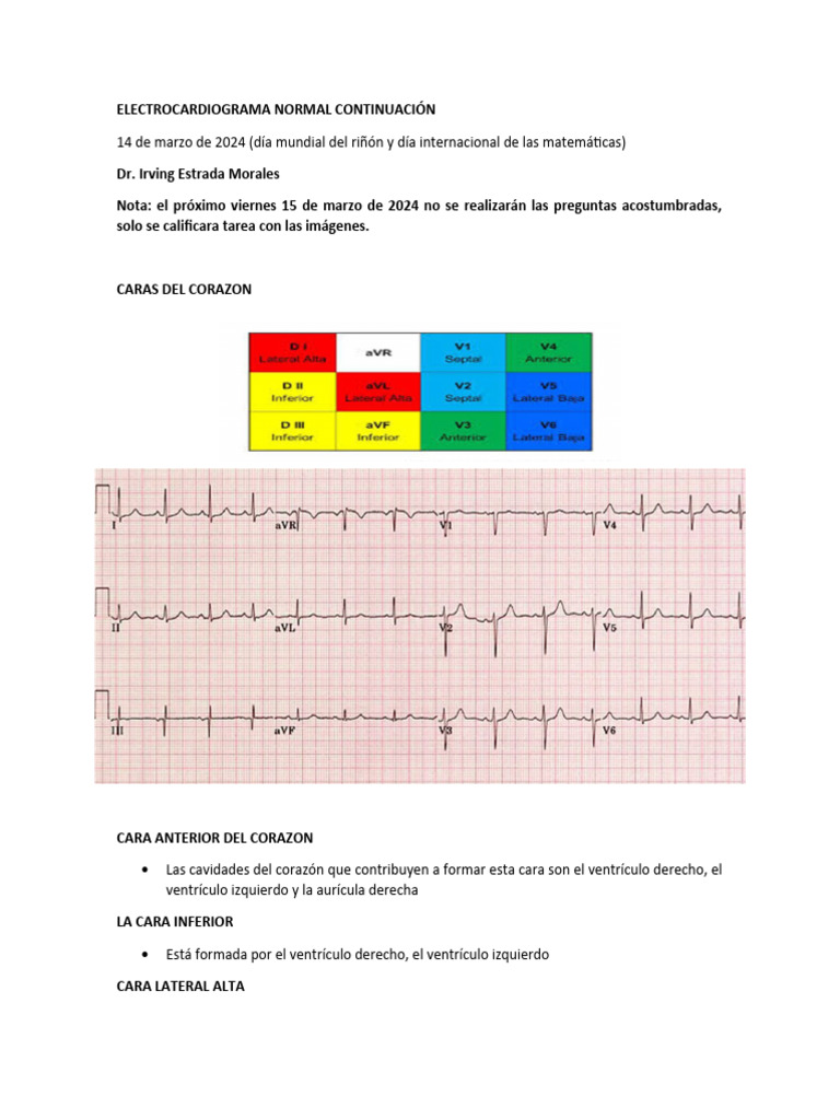 Guía ECG: Caras, Frecuencia y Eje | PDF | Electrocardiografia | Corazón