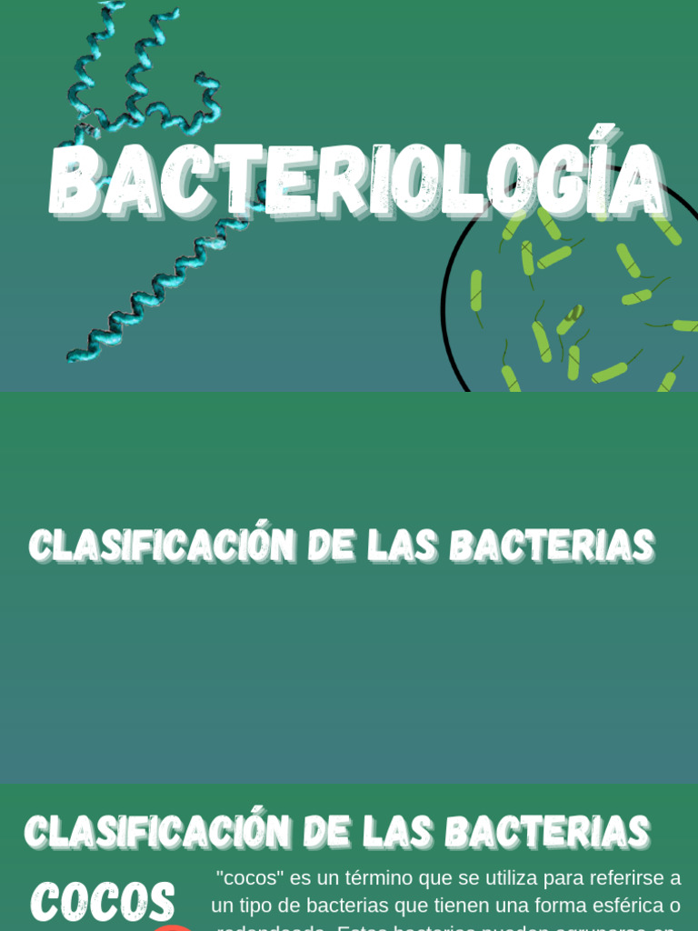 Bacterio Log Í A | PDF | Neumonía | Salmonela
