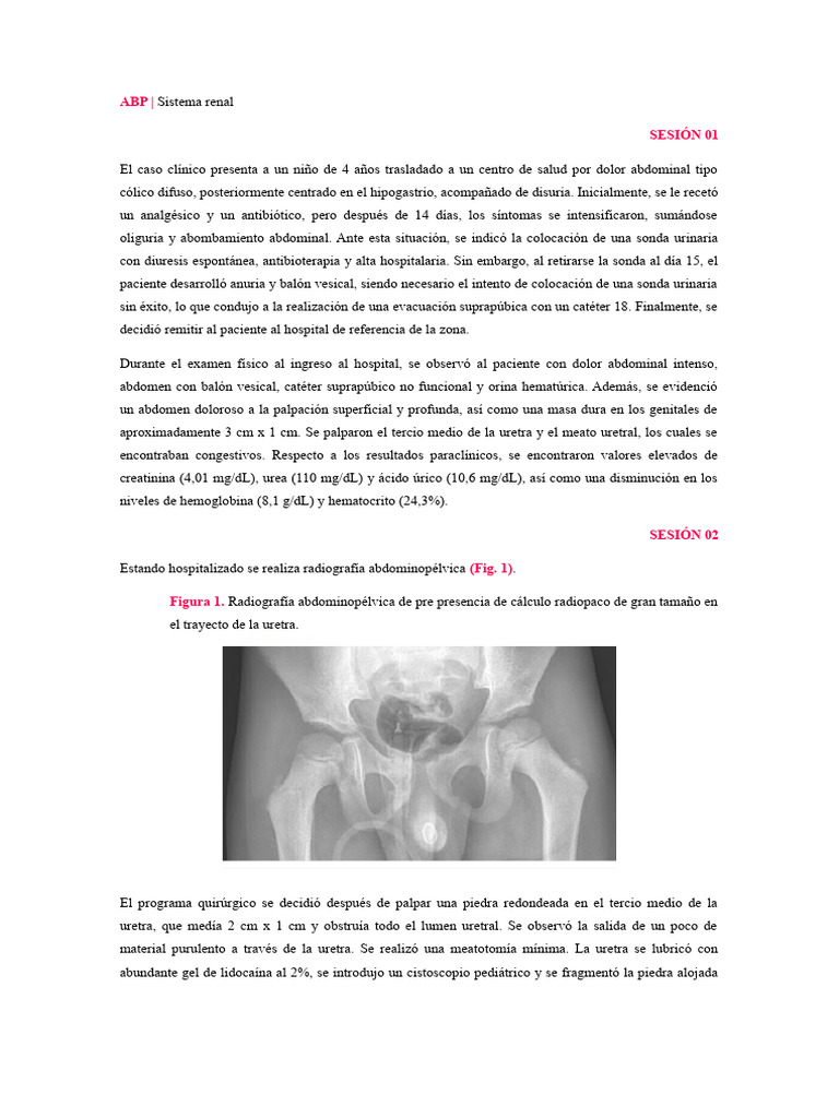 Abp Caso Renal | PDF | Sistema urinario | Creatinina