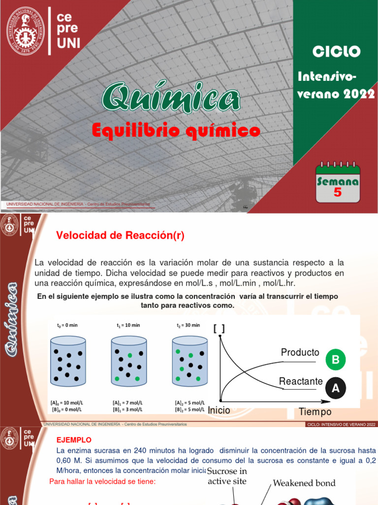 Semana 05 Equilibrio Quimico | PDF | Equilibrio químico | Reacciones químicas