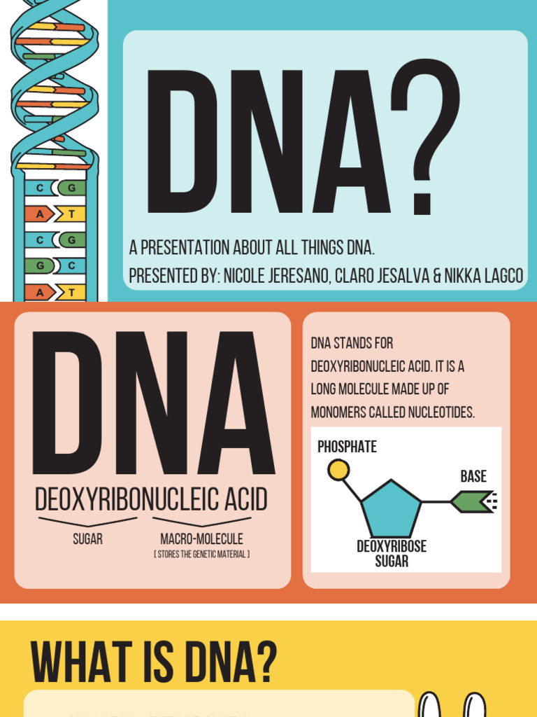 Understanding DNA: Structure and Analysis | PDF