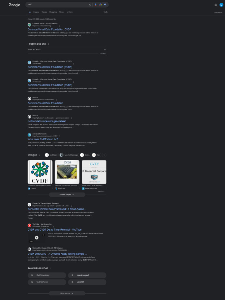 CVDF - Google Search | PDF | Computer Vision | Data