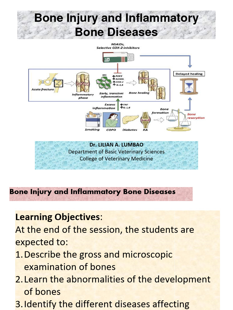 3 Bone Injury Inflammation | PDF | Bone | Necrosis