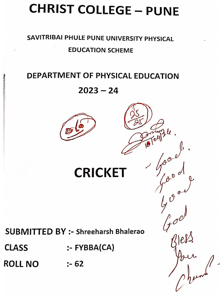 Physical Education Assignment | PDF