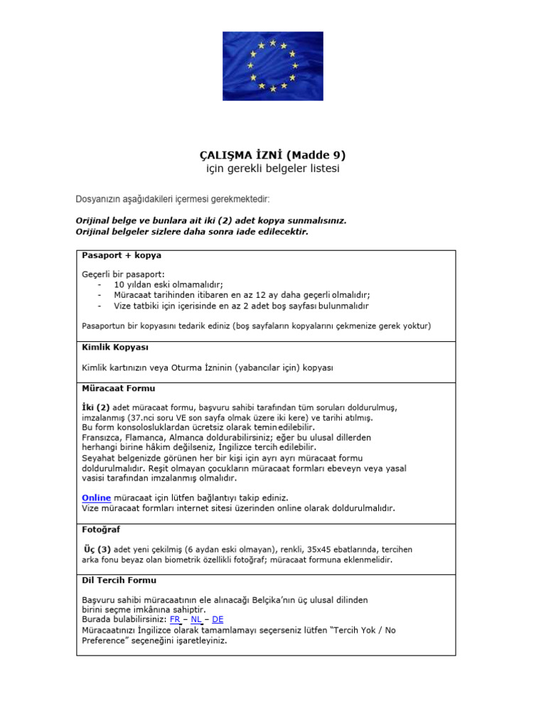 Checklist For Work Permit New | PDF