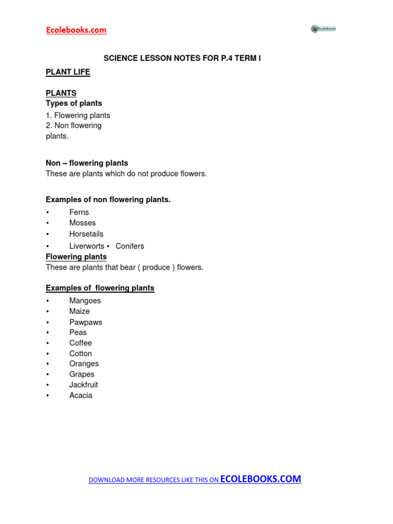 p.4 Primary Four Sci Notes Teacher - Ac | PDF | Leaf | Seed