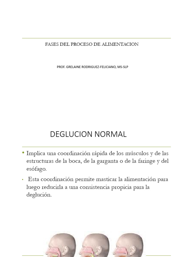 5 Fases Del Proceso de Alimentacion | PDF | Esófago | Lengua