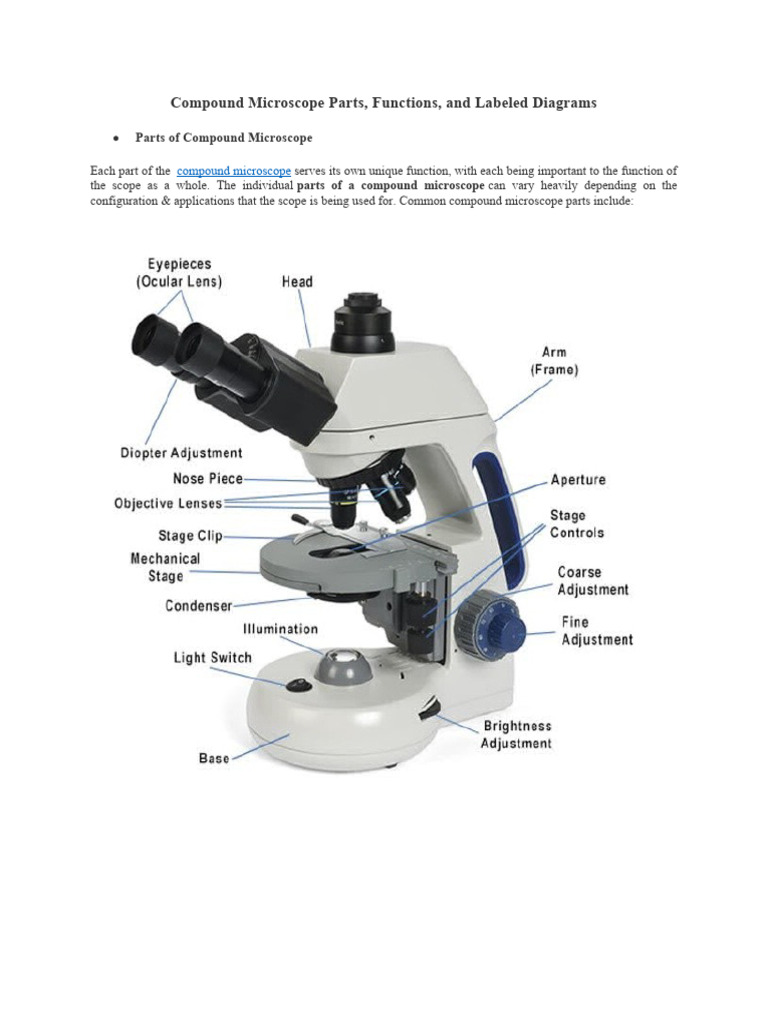Compound Microscope | PDF | Electromagnetic Radiation | Optics
