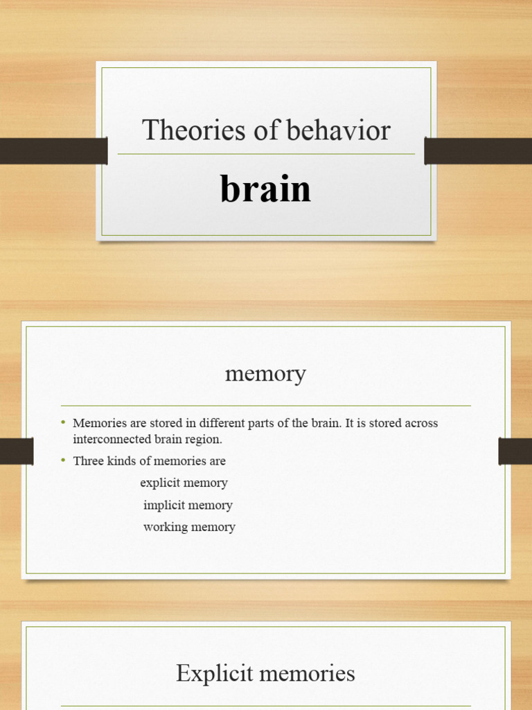 Brain Memory Theories Explained | PDF | Reward System | Memory
