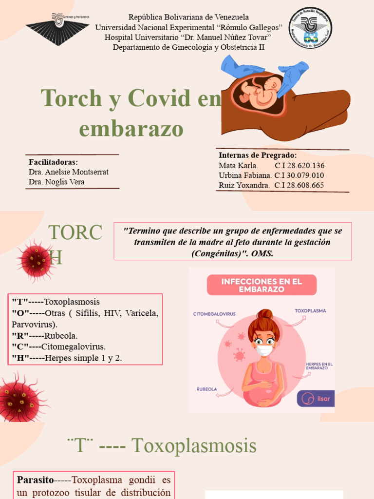 TORCH Y COVID EN EL EMBARAZO | PDF | El embarazo | Epidemiología