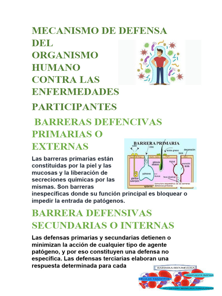 MECANISMO DE DEFENSA CONTRA LAS ENFERMEDADES | PDF | Sistema inmune | Anticuerpo