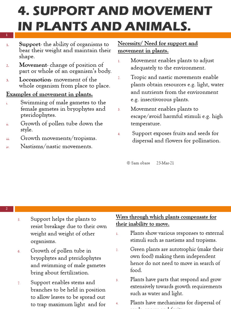 Support and movement | PDF | Vertebra | Vertebral Column