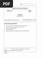 Psle 2023 Paper 2 | PDF