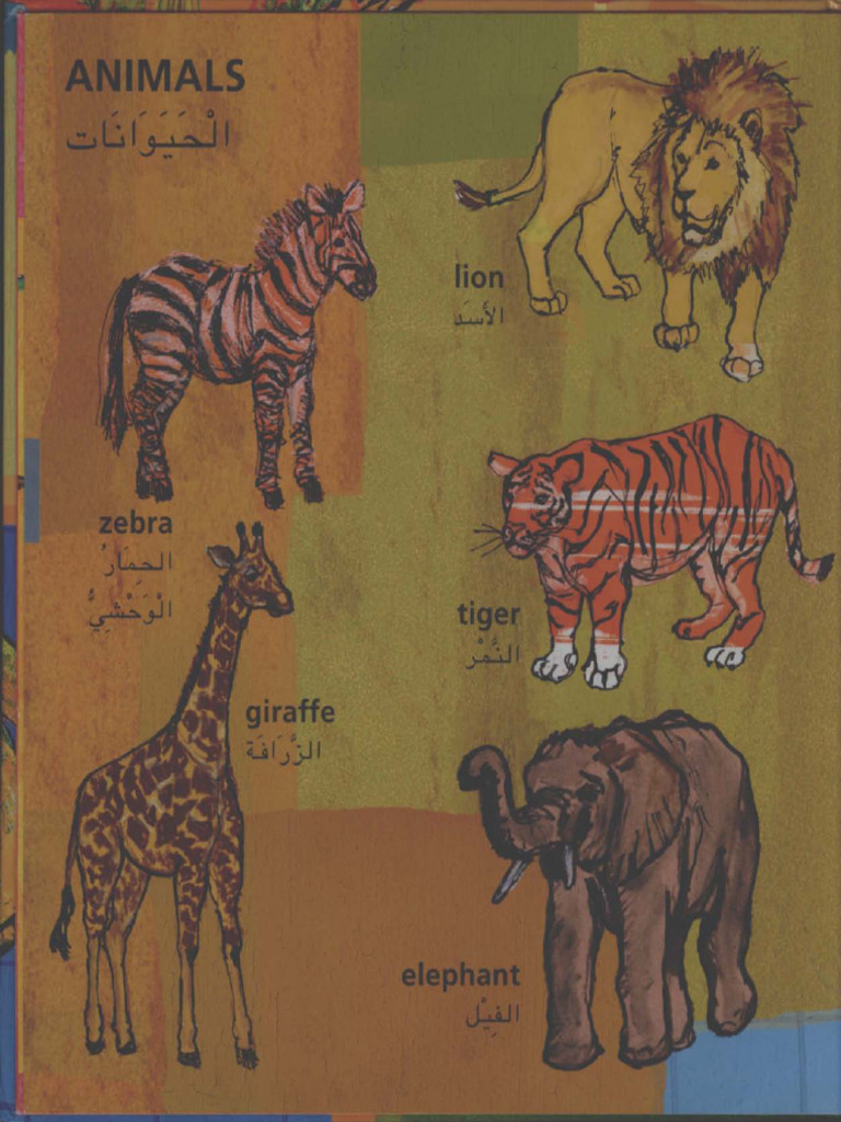 English Arabic Picture Dictionary - Removed | PDF