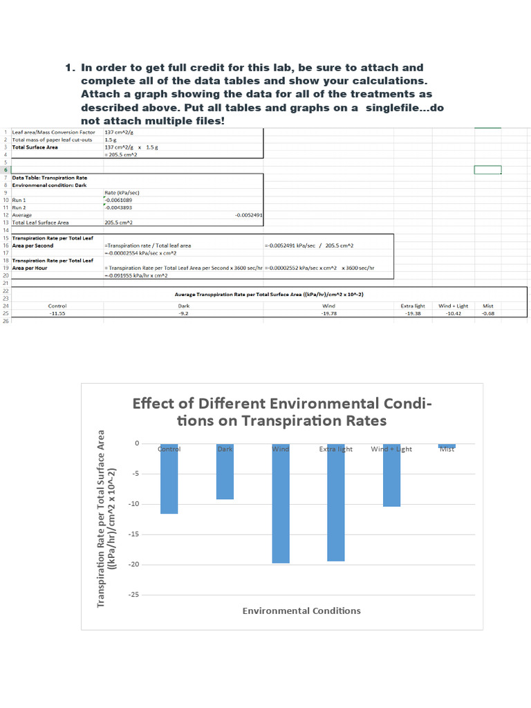 Lab Analysis #10 - Transpiration | PDF | Stoma | Leaf