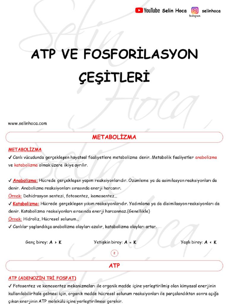atp | PDF